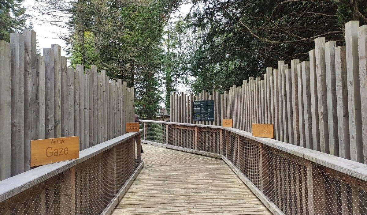 Avondale House, Wicklow - An Essential Travel Guide for 2025